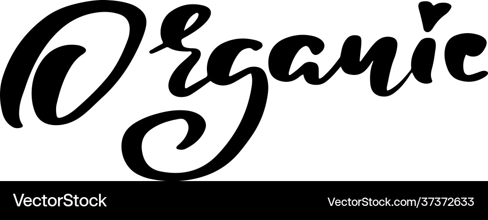 Organic lettering modern brush calligraphy Vector Image