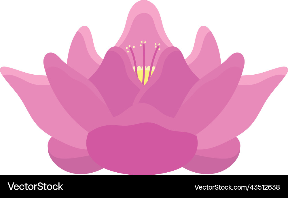 Lotus flower garden Royalty Free Vector Image - VectorStock