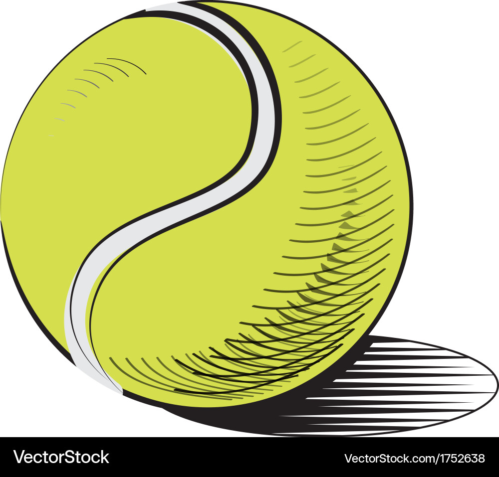 Tennis ball isolated on white Royalty Free Vector Image