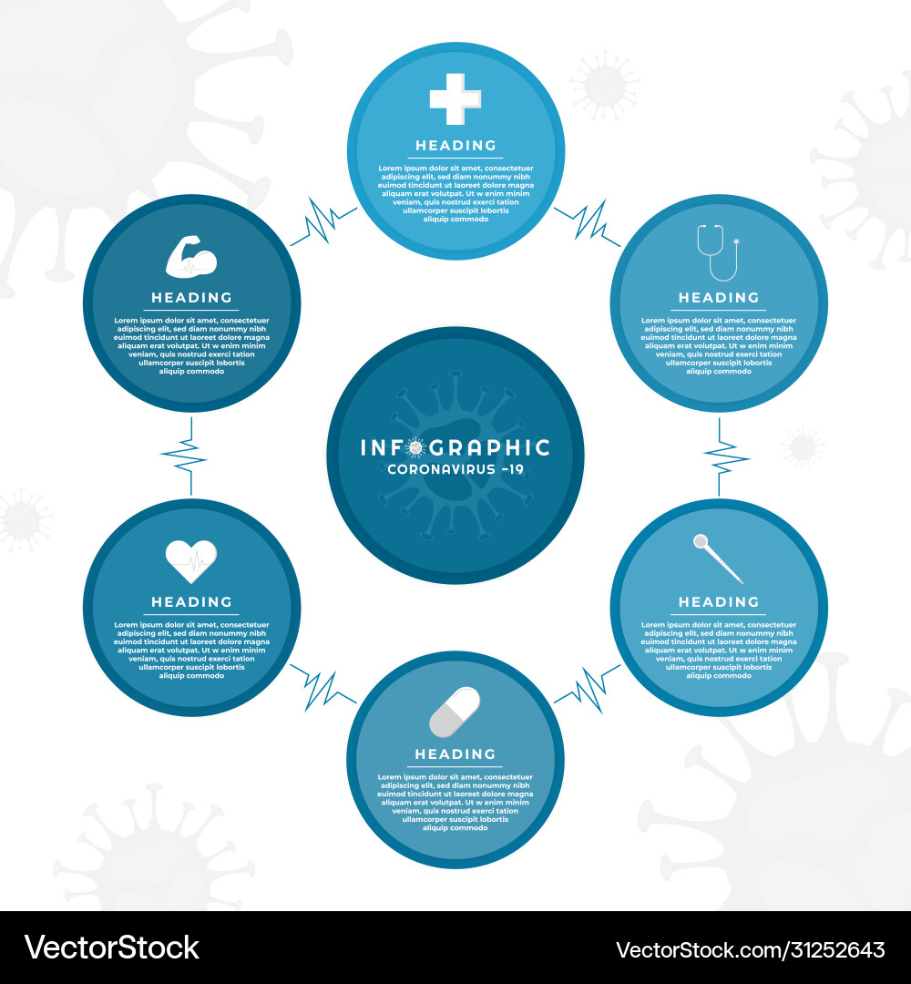 Infographic modern circle shape design medical Vector Image