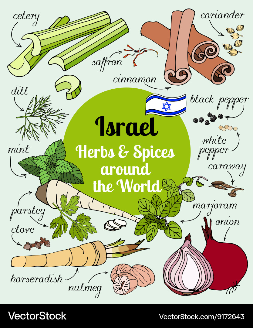 Israel herbs and spices Royalty Free Vector Image