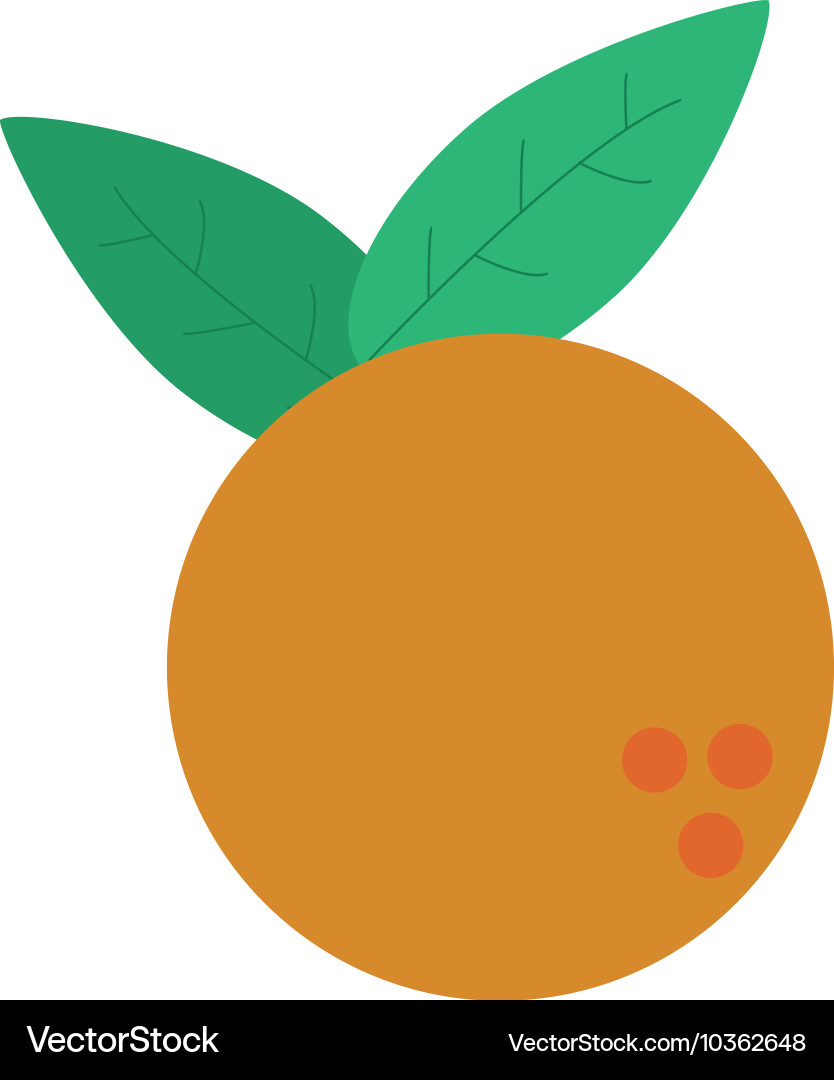 Orange healthy food design Royalty Free Vector Image