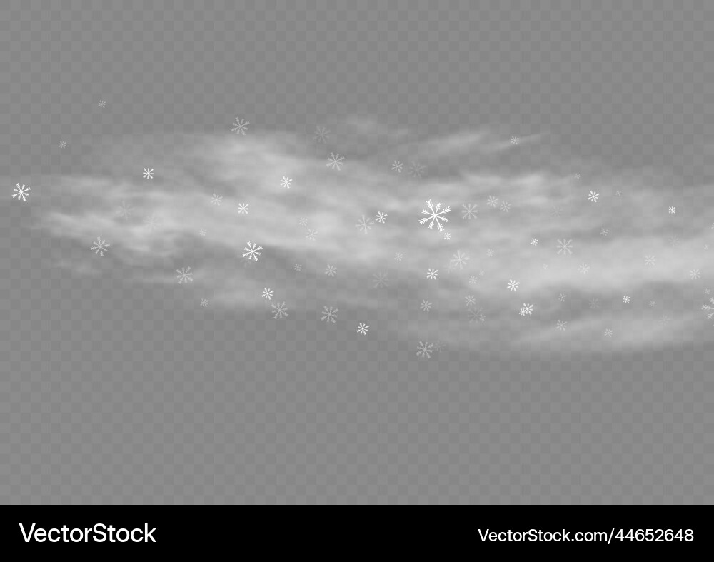 Winter snow wind fog white gradient decorative Vector Image