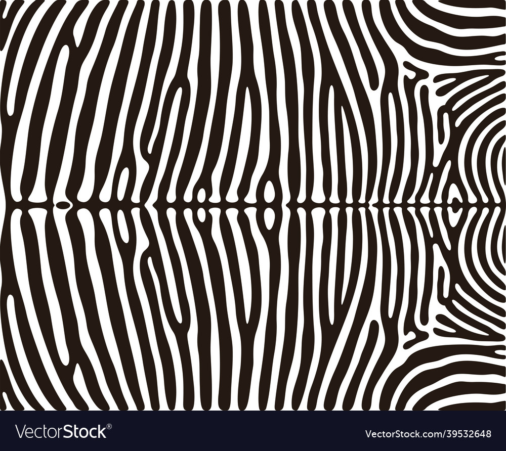 Zebra texture pattern Royalty Free Vector Image