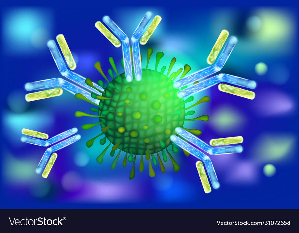 Antibodies attacking virus Royalty Free Vector Image Antibodies attacking virus Royalty Free Vector Image