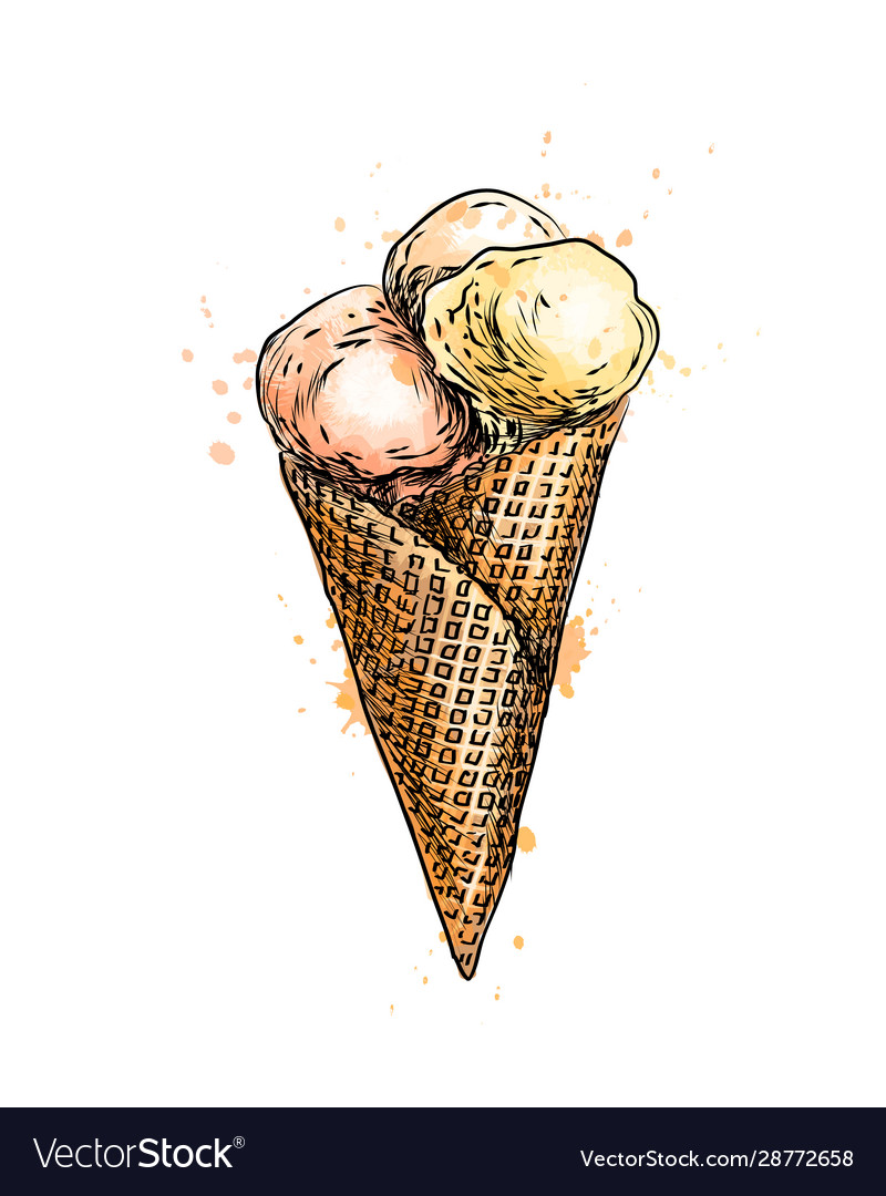 Ice Cream In A Waffle Cup From A Splash Royalty Free Vector