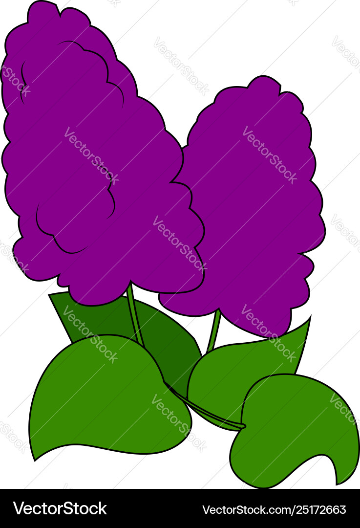 Beautiful lilac or color Royalty Free Vector Image