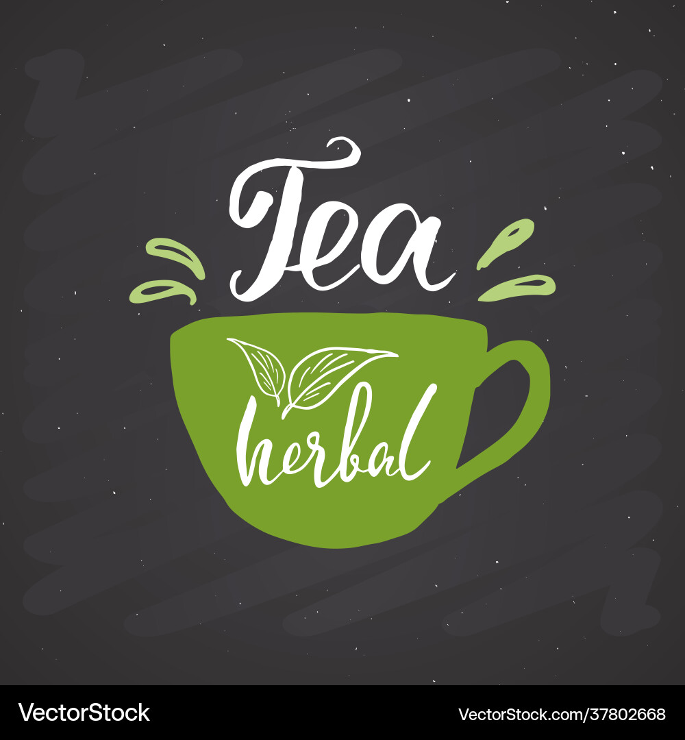 Herbal tea lettering handwritten sign hand drawn Vector Image