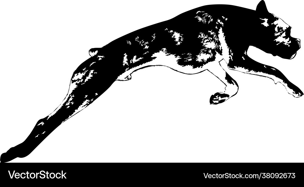 Jumping Dog Silhouette