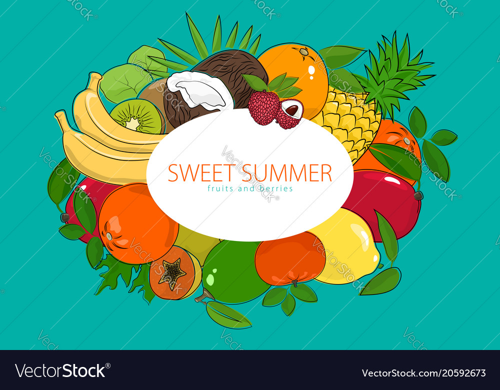 Summer tropical and citrus fruits Royalty Free Vector Image