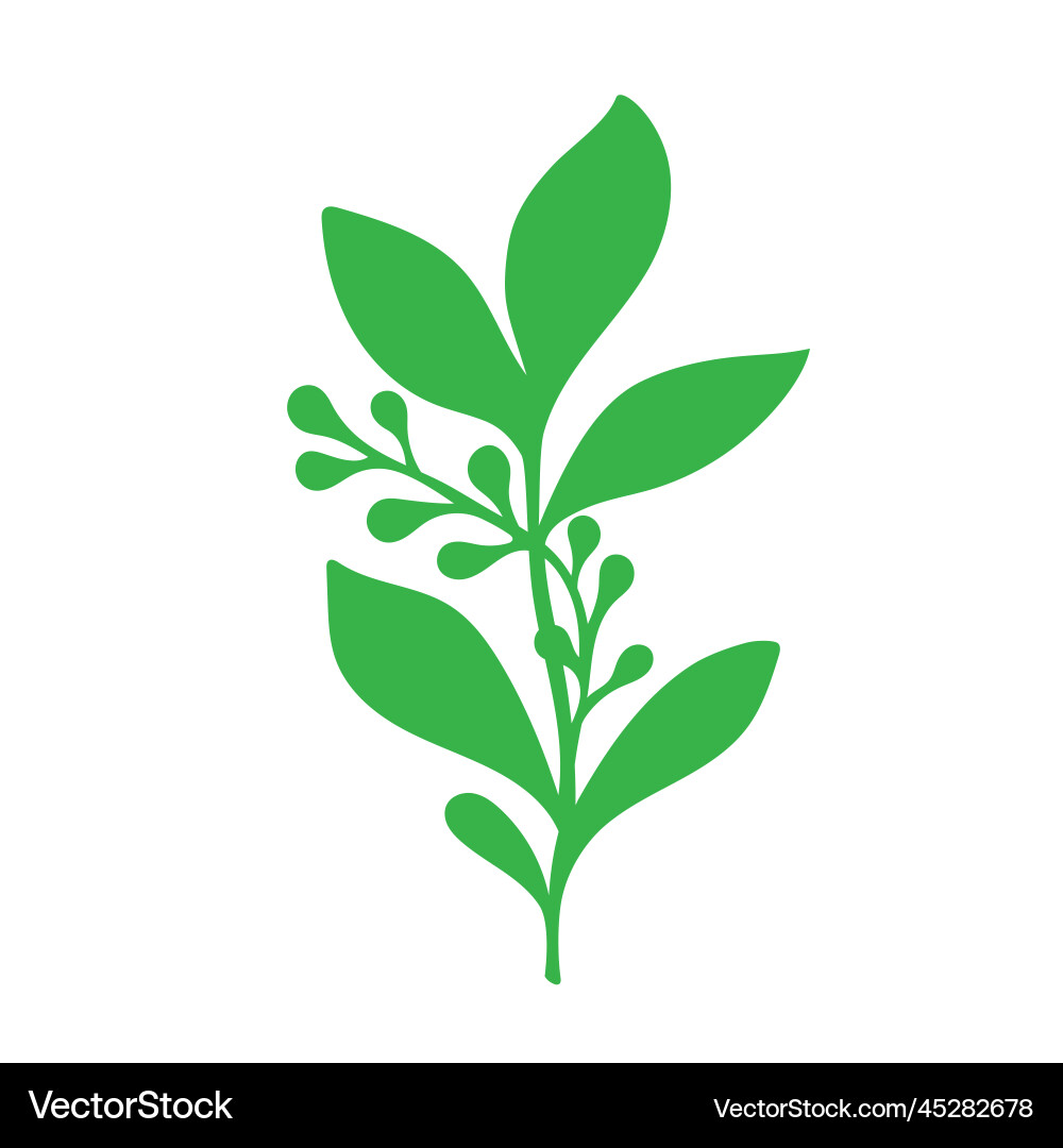 Green twigs and branches with leaves Royalty Free Vector