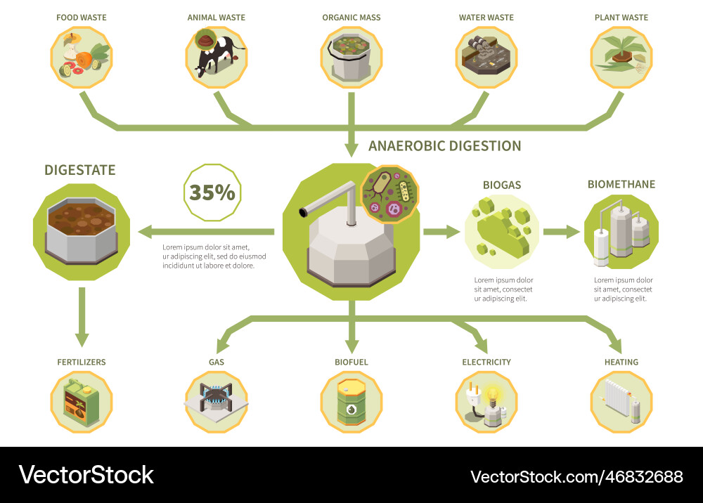 Biogas production infographics Royalty Free Vector Image