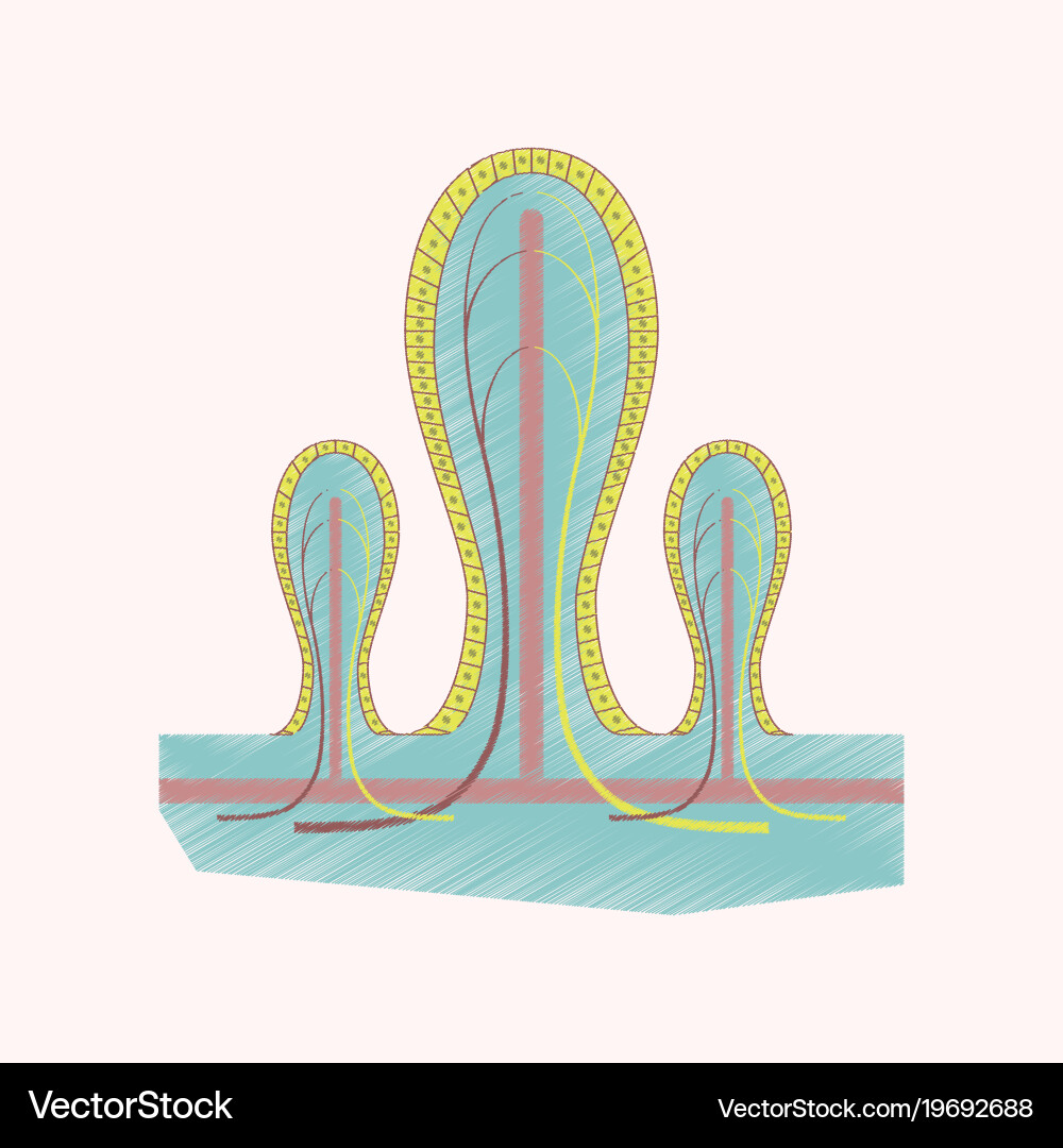 Flat shading style icon intestinal villi Vector Image
