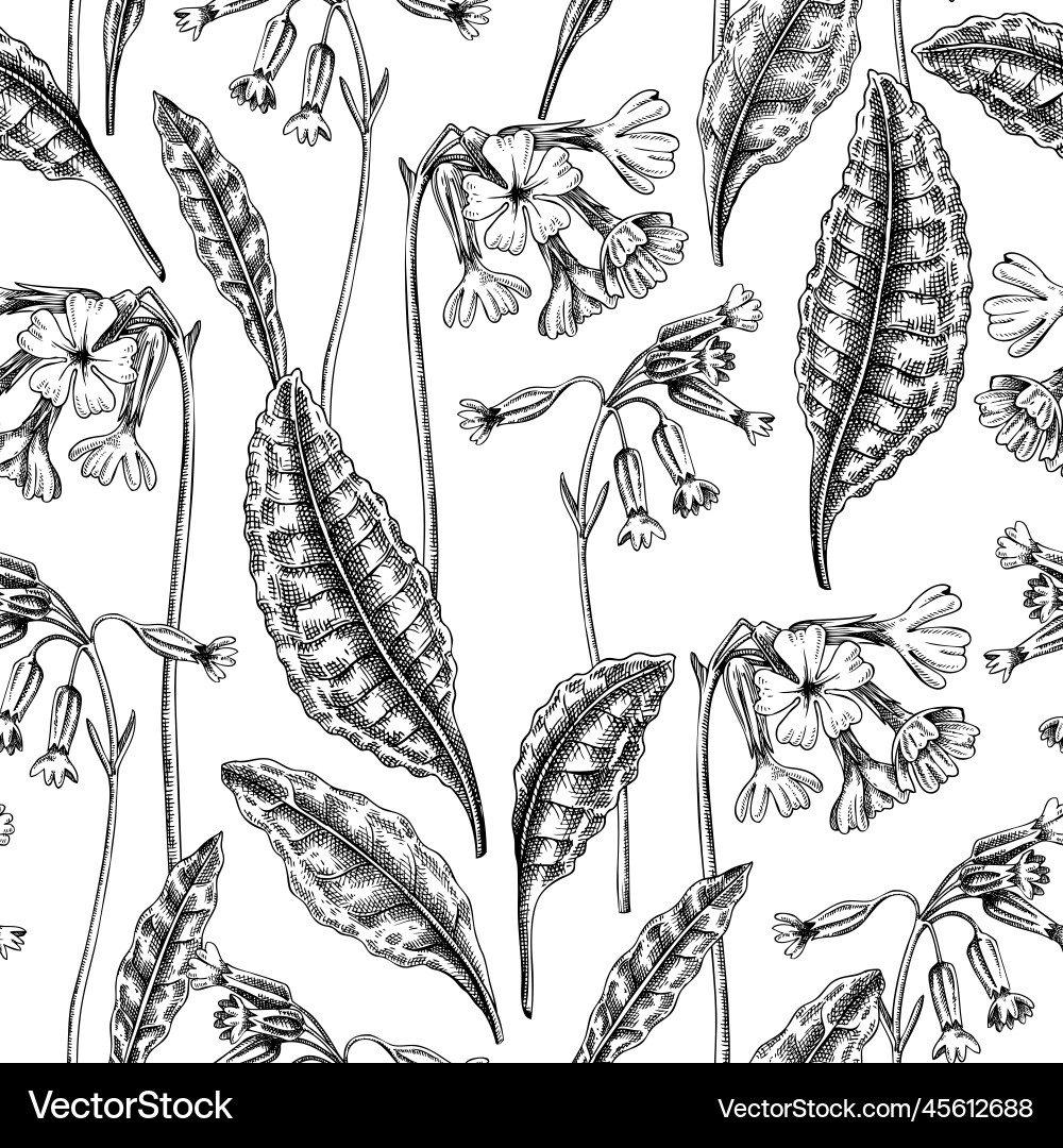 Hand-drawn cowslip and oxlip background design Vector Image