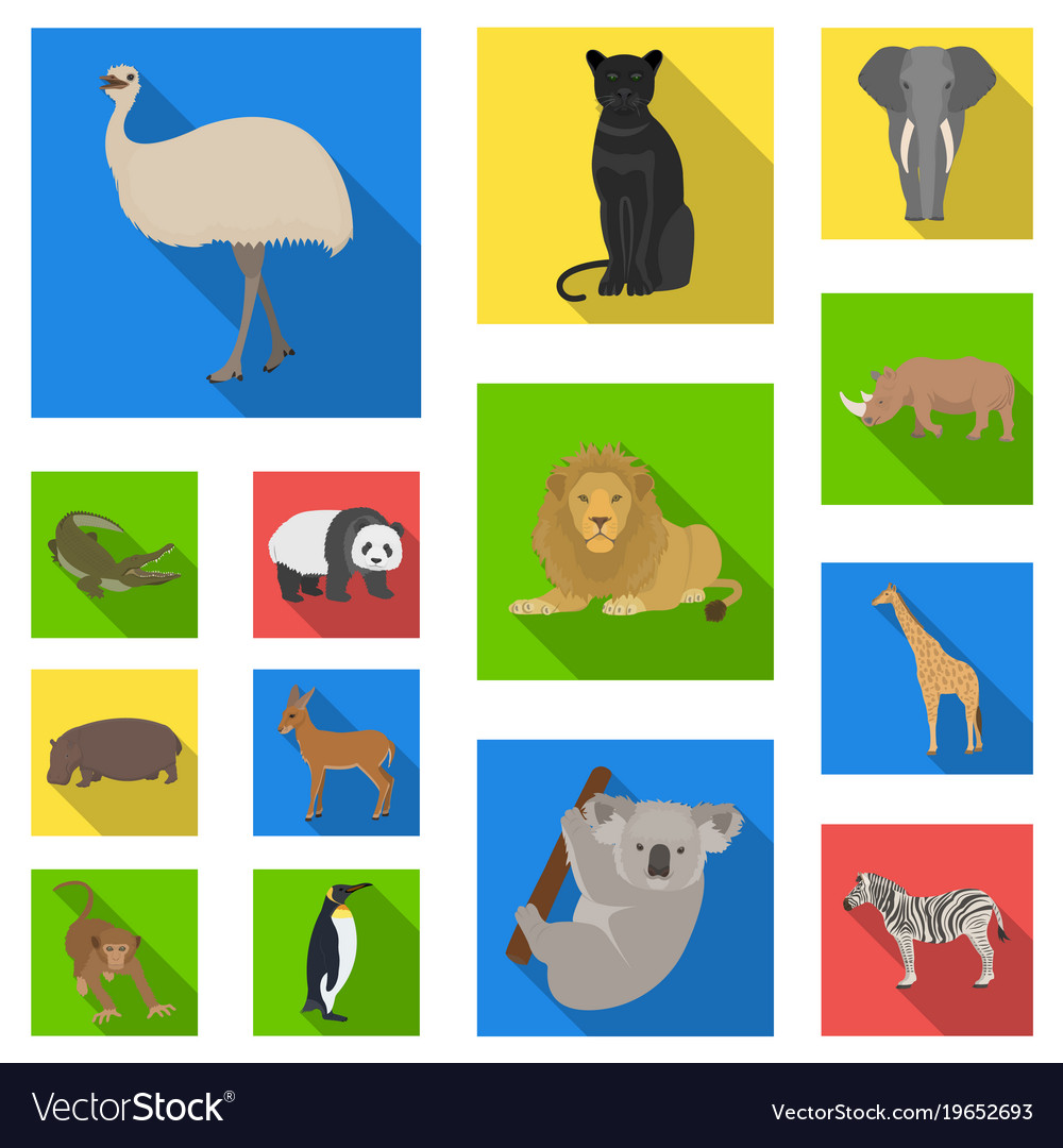 Different animals flat icons in set collection Vector Image
