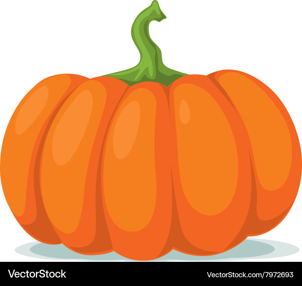 Pumpkin Royalty Free Vector Image - VectorStock