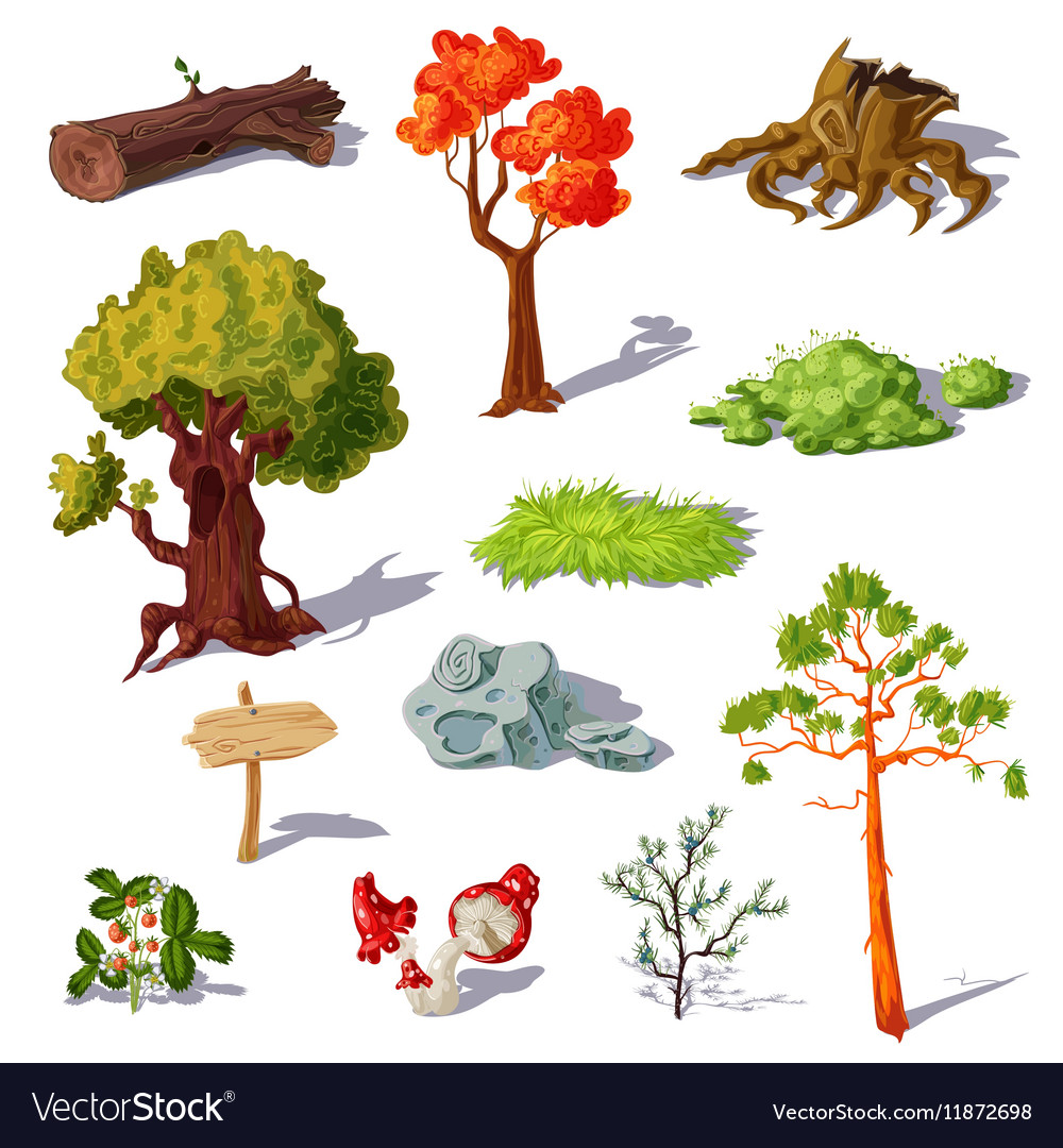 Forest elements set Royalty Free Vector Image - VectorStock