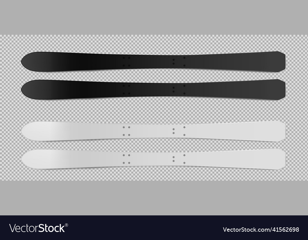 Mountain ski isolated Royalty Free Vector Image