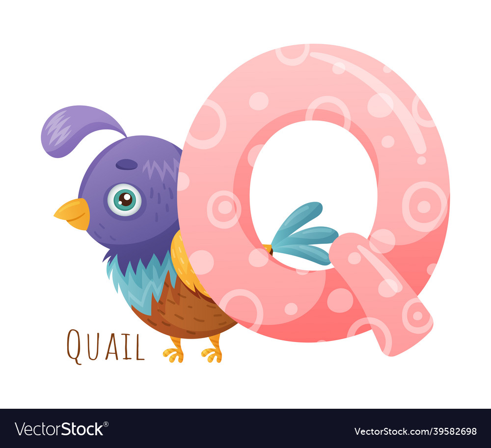 Q letter and cute bird zoo alphabet for children Vector Image