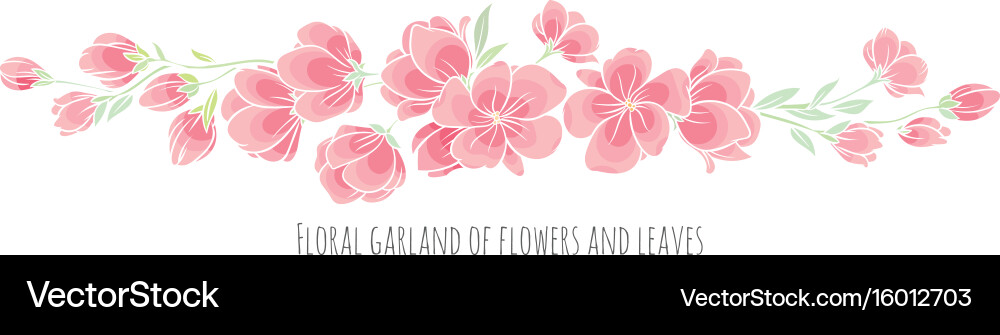 Set of design elements pink sakura blossom Vector Image