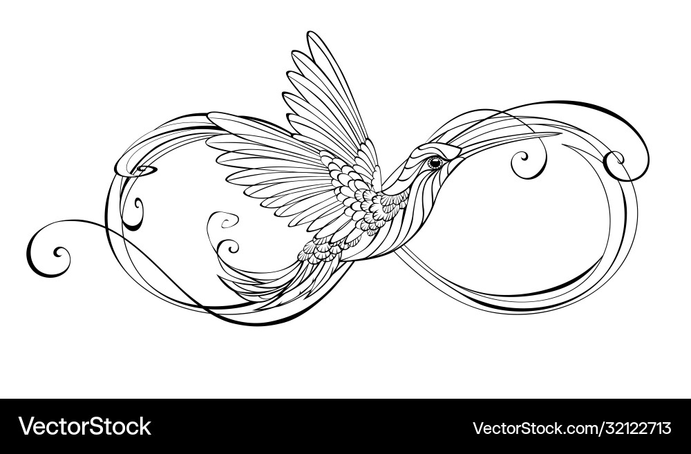 Contour infinity with hummingbird Royalty Free Vector Image