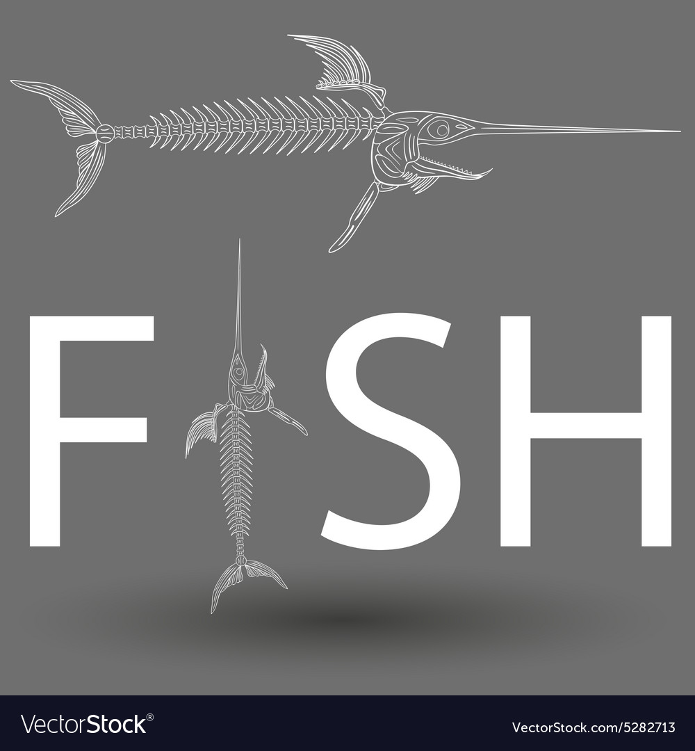 Fish skeleton Royalty Free Vector Image - VectorStock