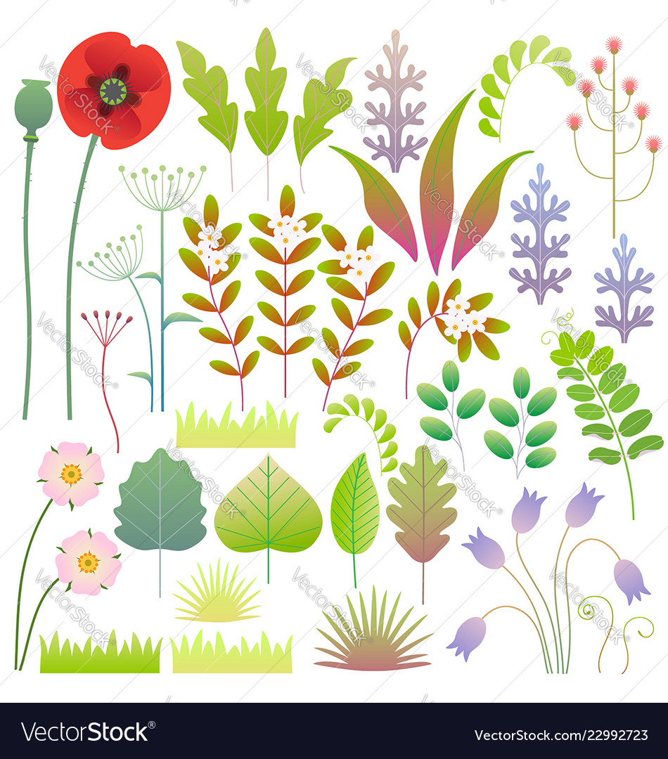 Flat spring floral elements set Royalty Free Vector Image