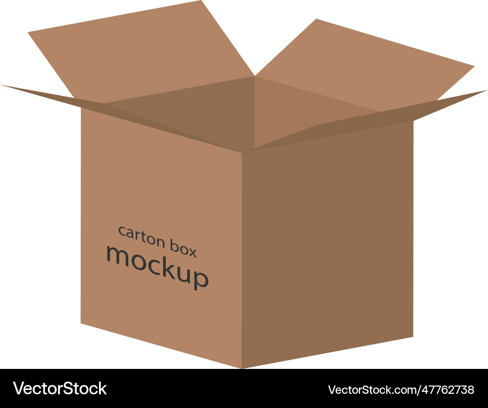 Cardboard box mockup isolated on white background Vector Image