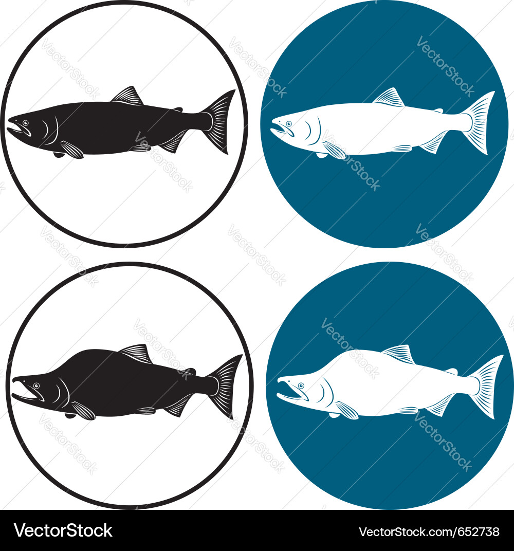 Red fish Royalty Free Vector Image - VectorStock