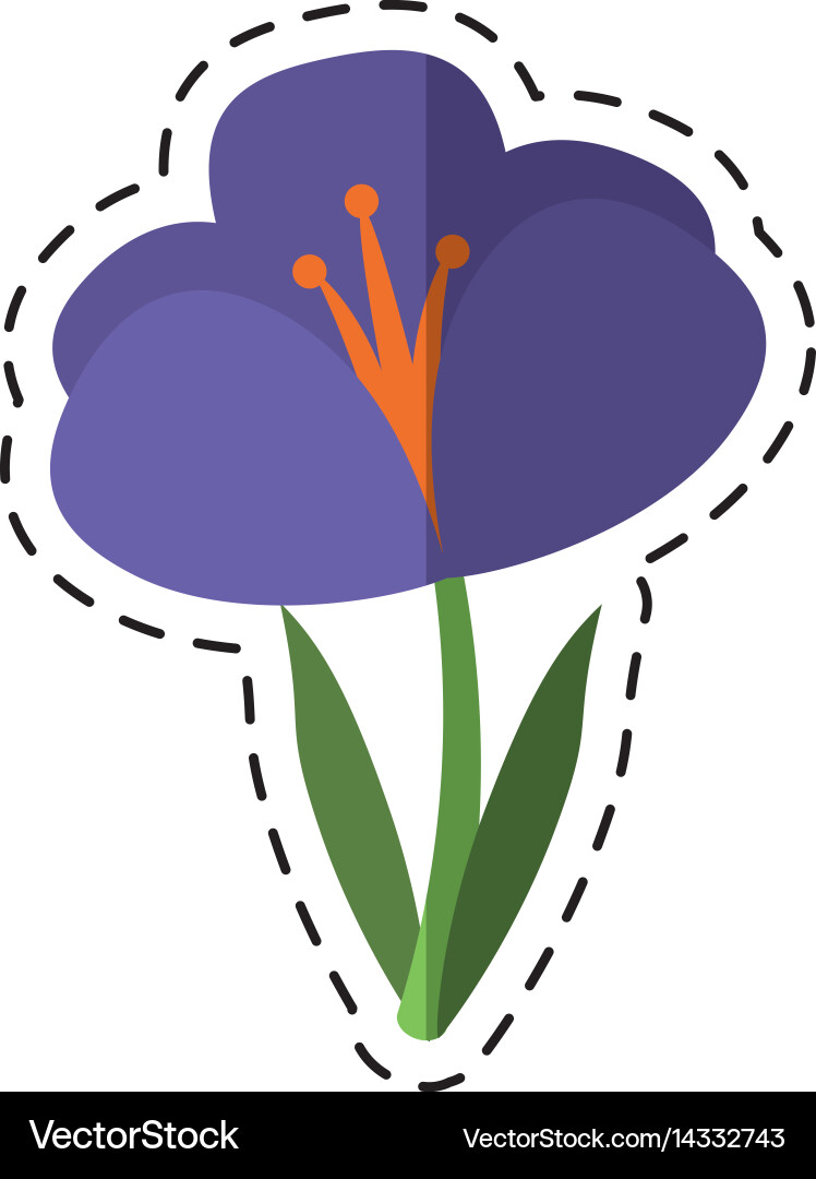 Cartoon crocus plant spring floral icon Royalty Free Vector