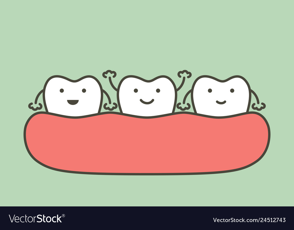 Healthy tooth Royalty Free Vector Image - VectorStock