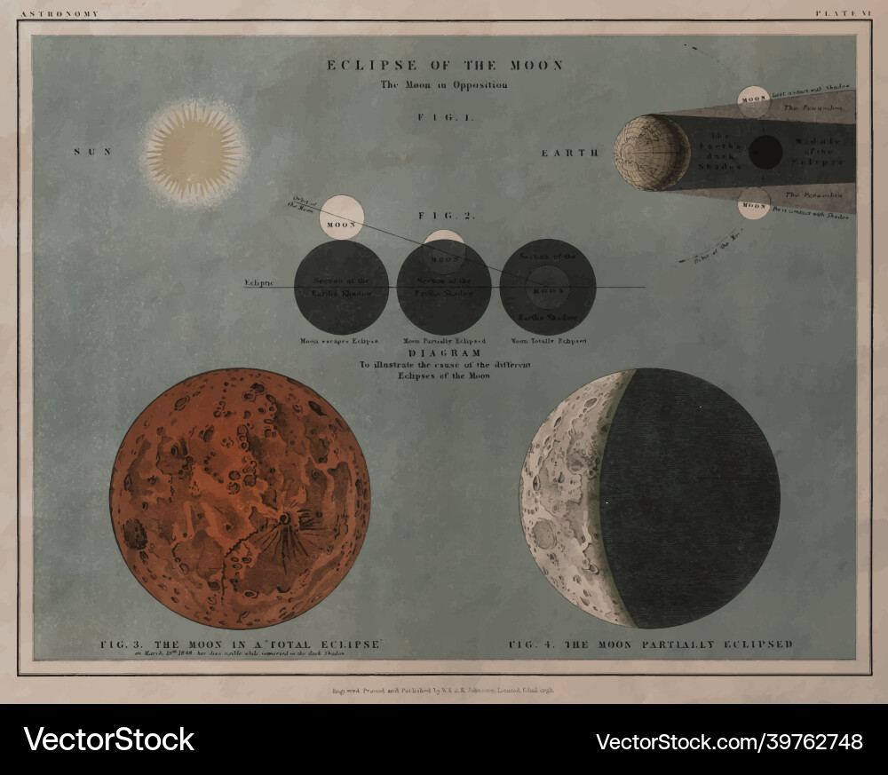 An astronomy lithograph the eclipse of moon Vector Image