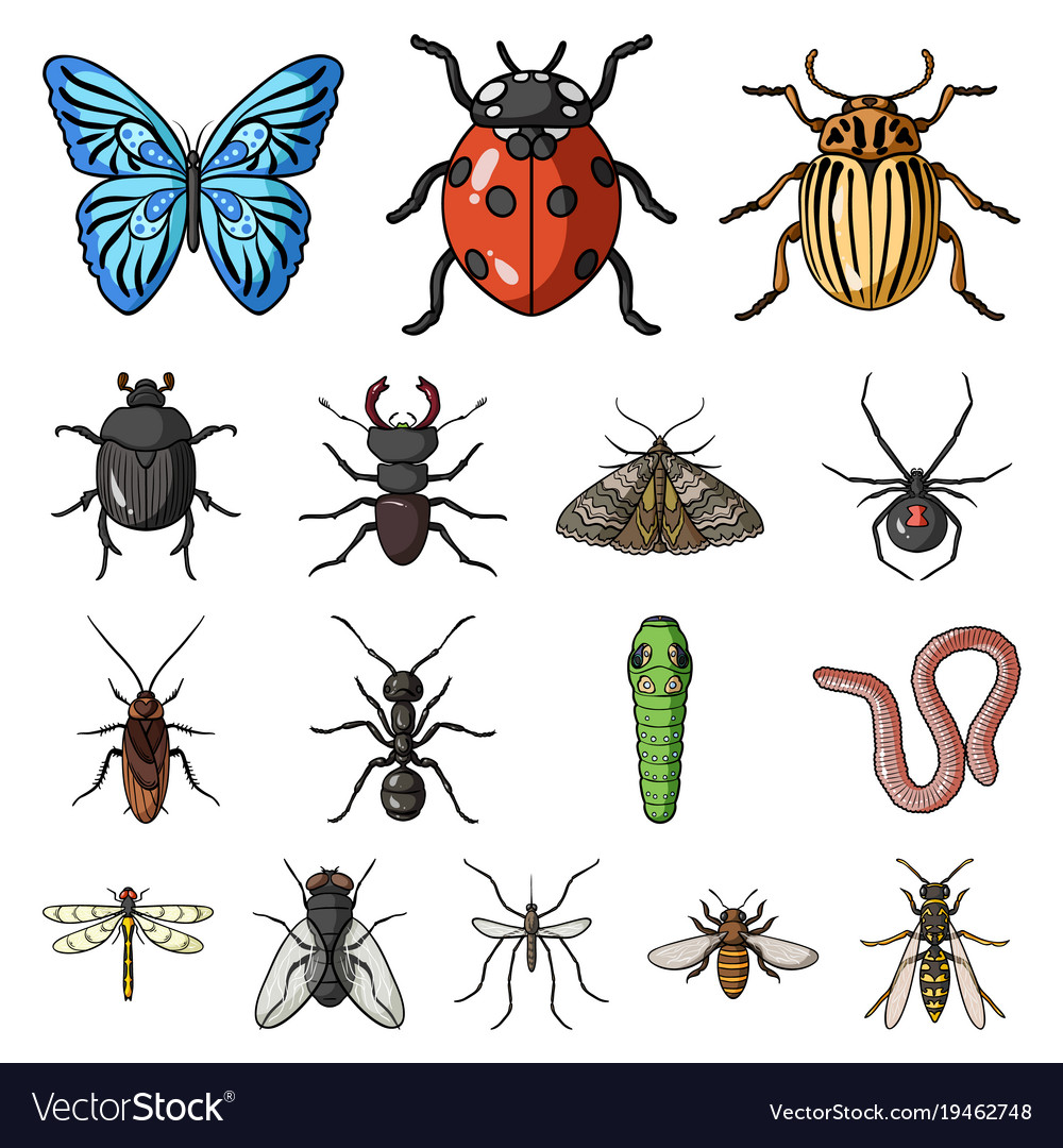Different Kinds Insects Cartoon Icons In Set Vector Image