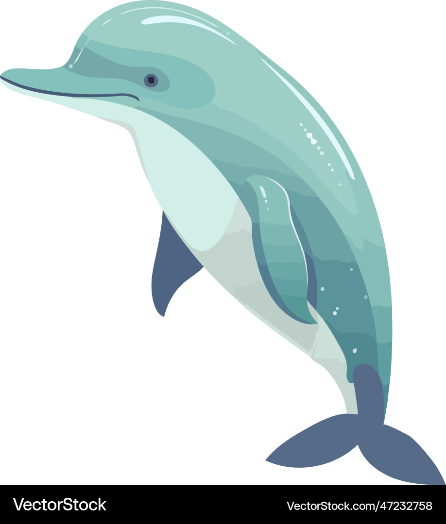 Cute dolphin sea life Royalty Free Vector Image