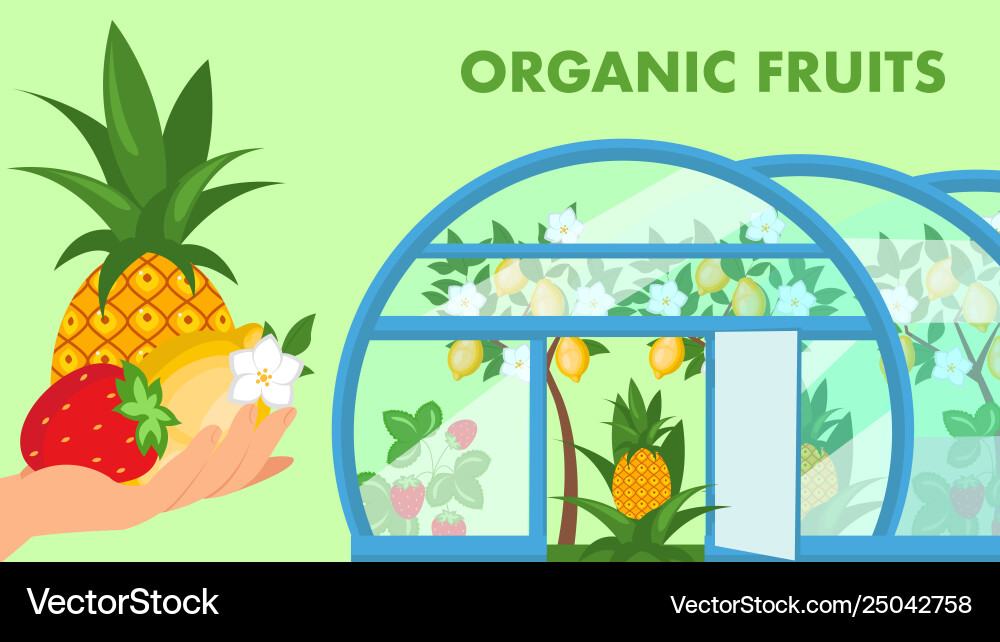 Organic fruits web banner flat template Royalty Free Vector