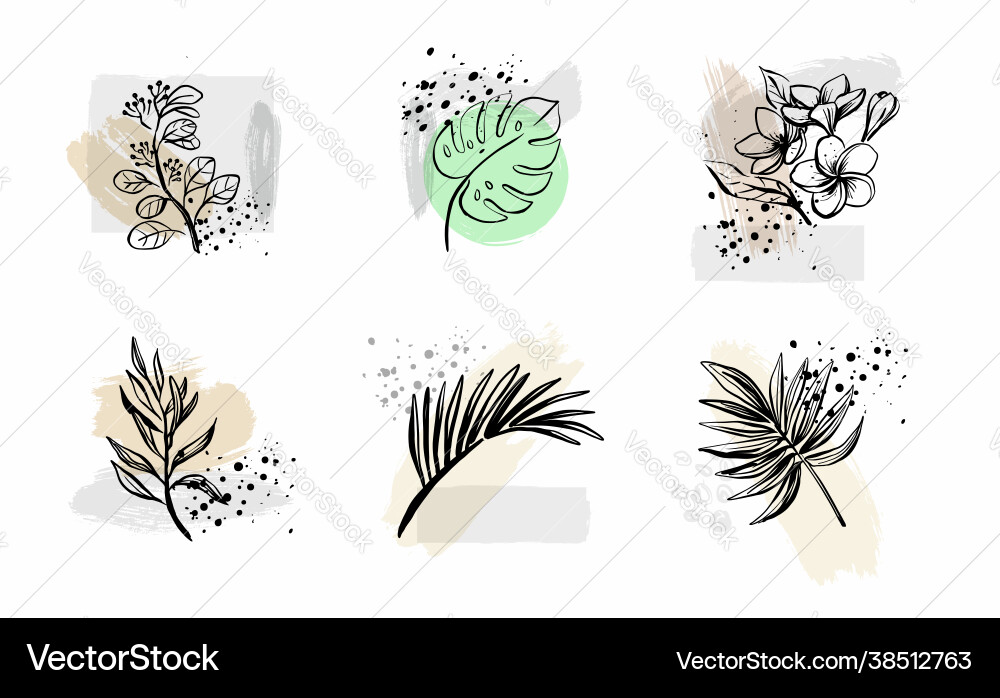 Abstract line art tropical flower leaf tropic Vector Image