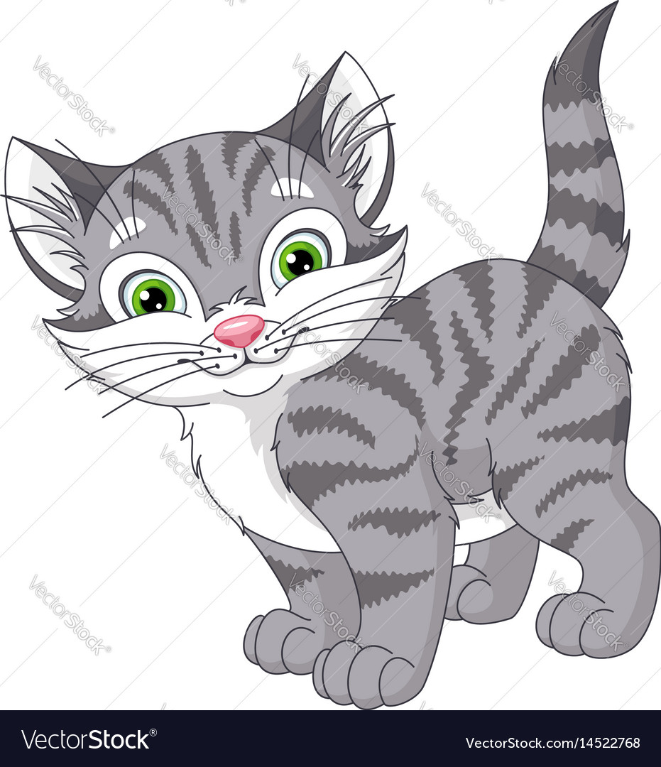 Gray cat Royalty Free Vector Image - VectorStock