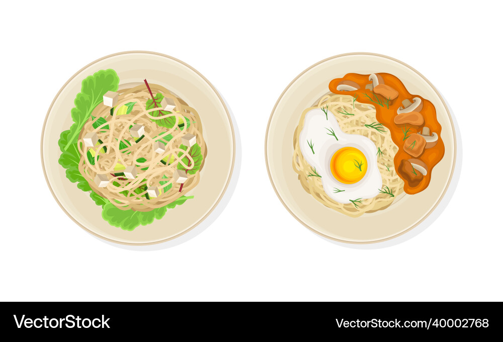 Thai dish and main course with noodles soft Vector Image