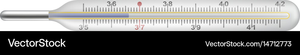 Glass medical thermometer Royalty Free Vector Image
