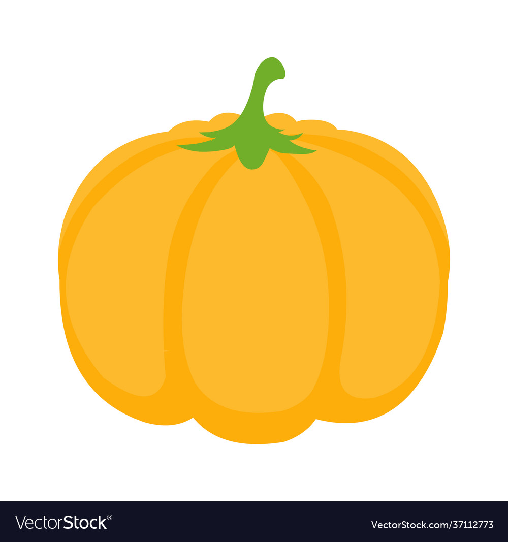 Pumpkin Royalty Free Vector Image - VectorStock