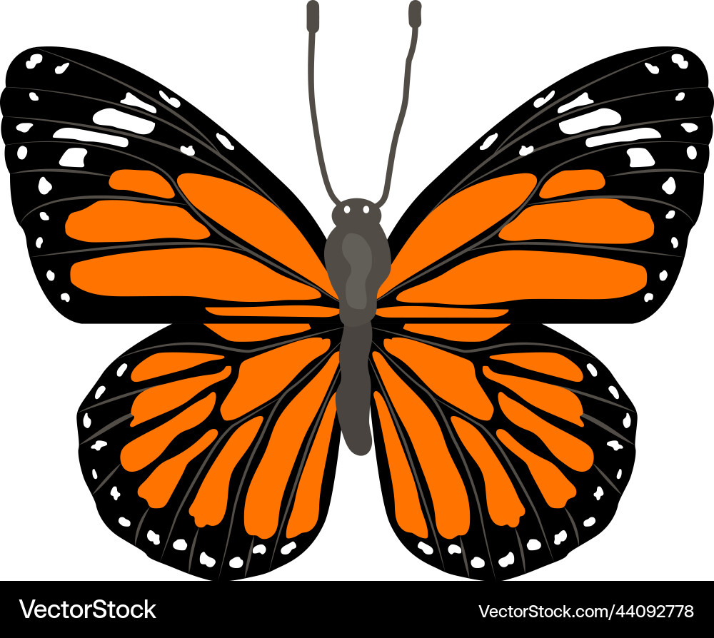 A captivating flat of monarch Royalty Free Vector Image