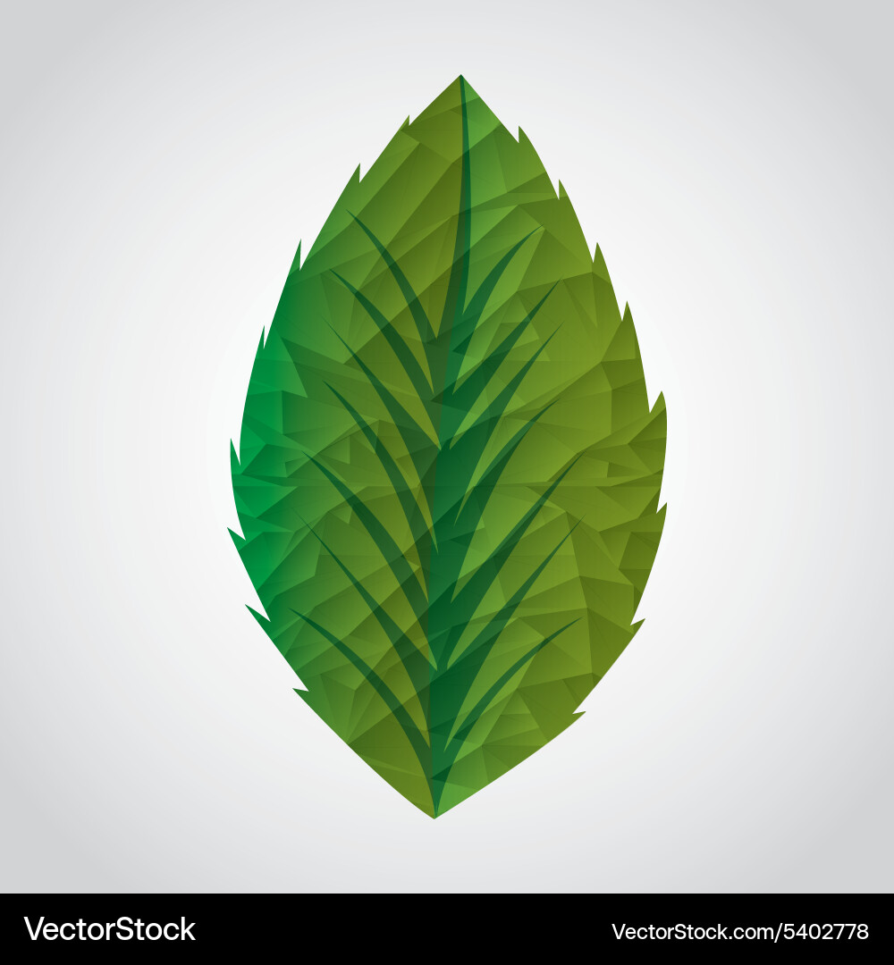 Nature emblem Royalty Free Vector Image - VectorStock