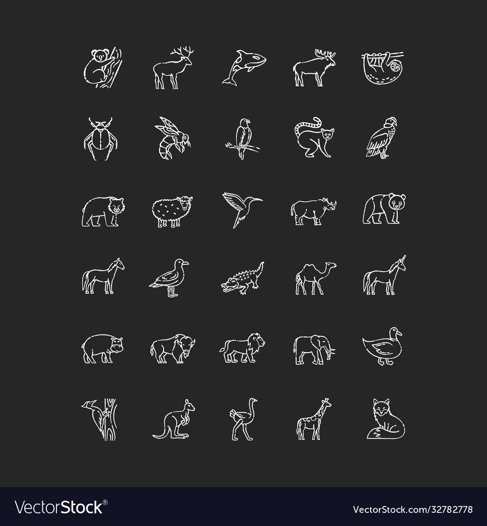 Wildlife chalk white icons set on black background