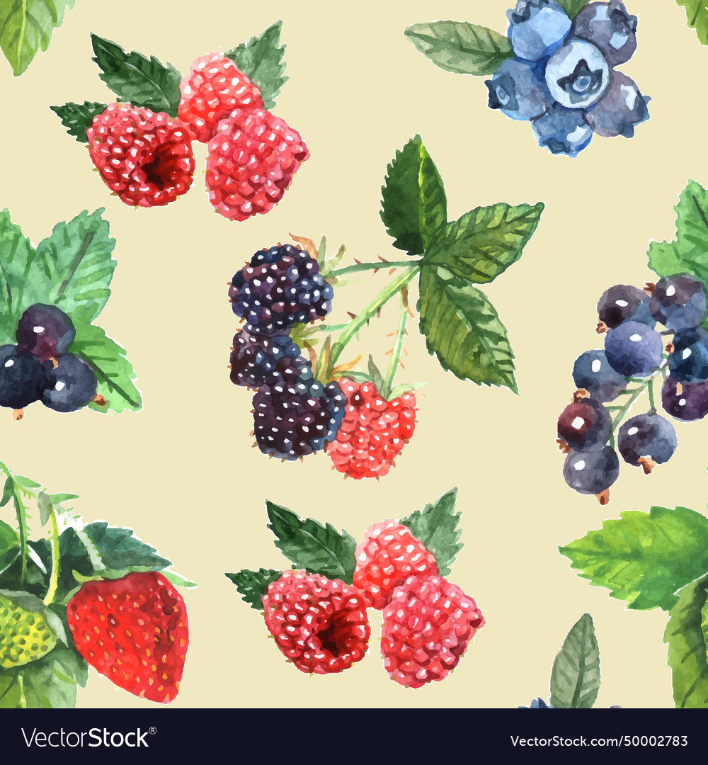 Berry seamless pattern Royalty Free Vector Image