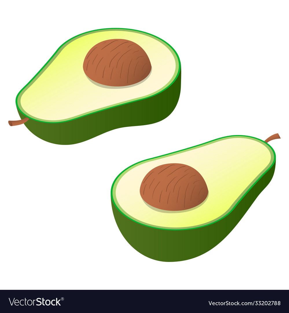 Avocado isometric beautiful juicy natural fruit Vector Image