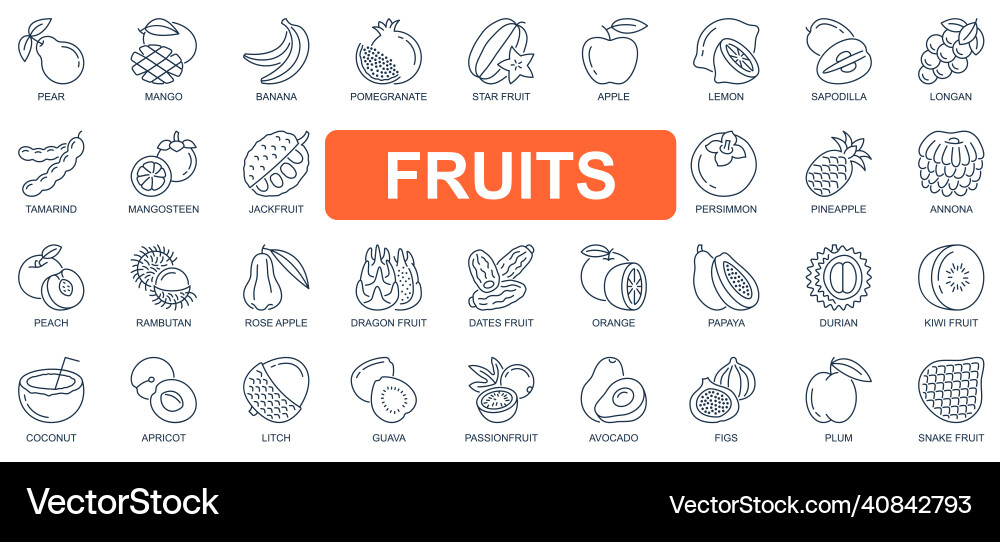 Fruits concept simple line icons set pack outline Vector Image