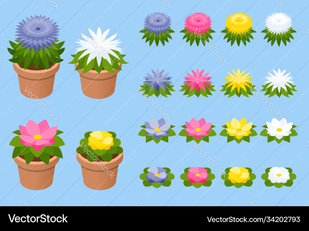 Isometric set flowers or plants in pots Royalty Free Vector