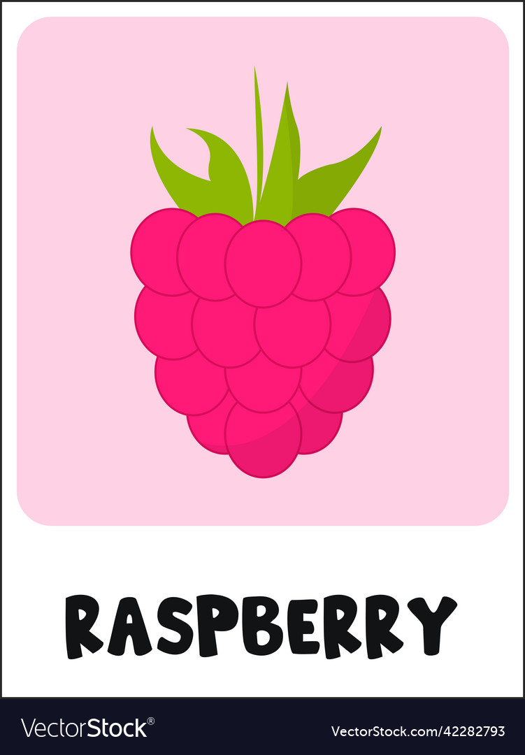 Raspberry flashcard Royalty Free Vector Image - VectorStock