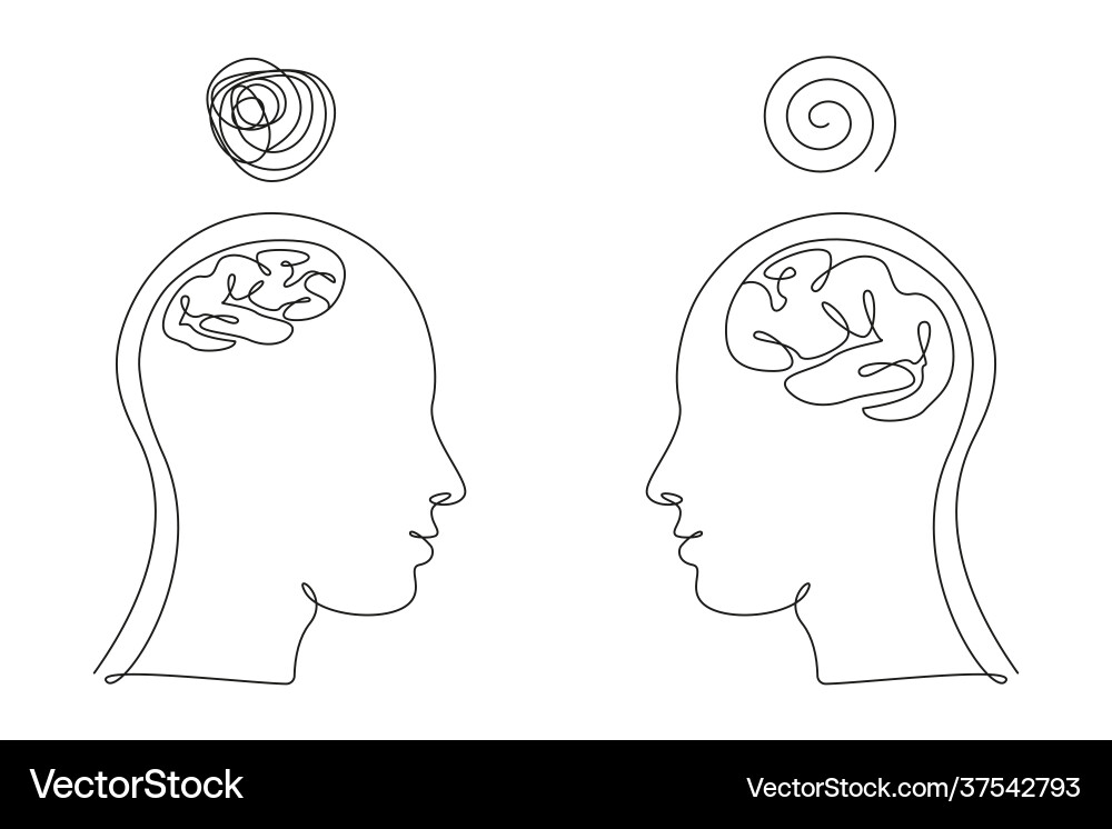 Two human heads with big and small brains Vector Image