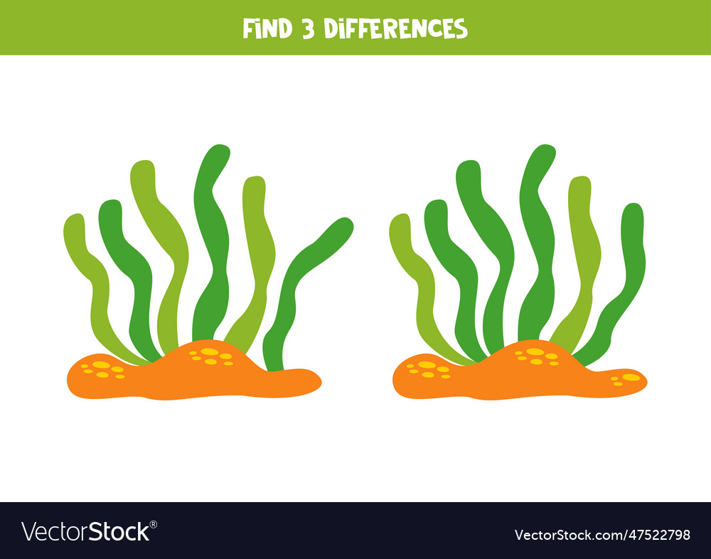 Find three differences between two cartoon Vector Image